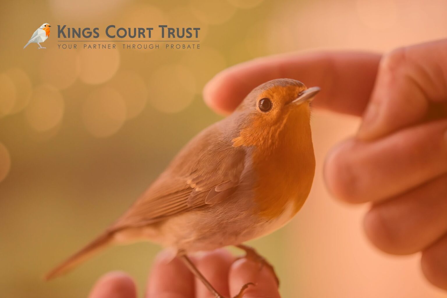 Kings Court Trust unveils new brand identity | Today's Wills and Probate